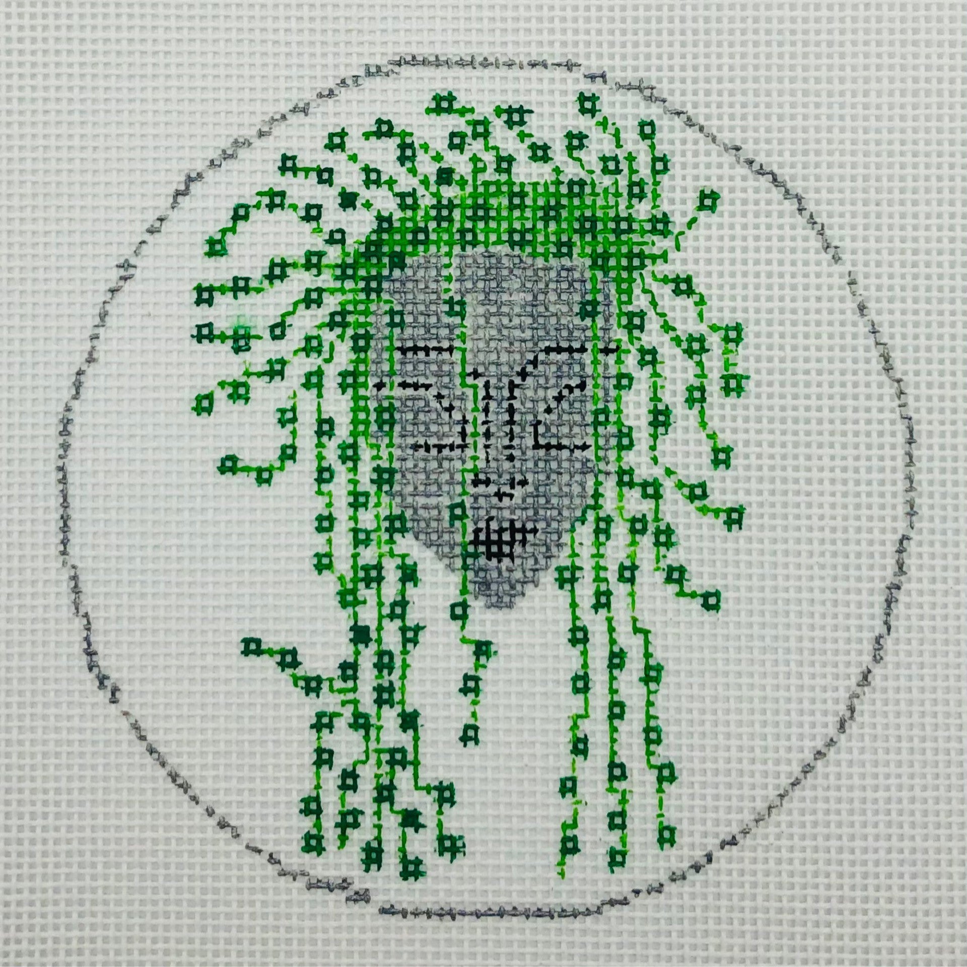 String of Pearls Goddess Plant | West Village Knit & Needle